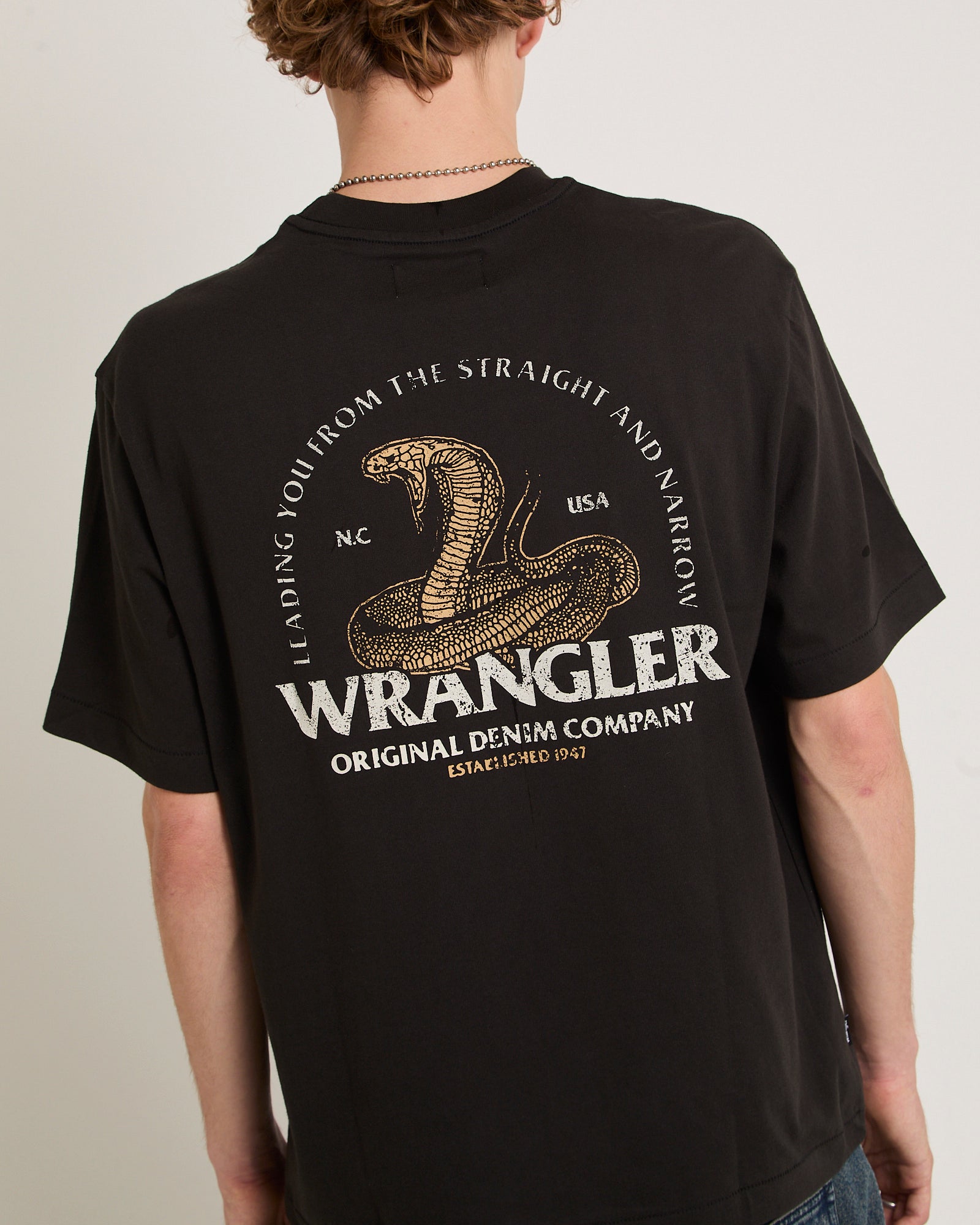 Snake Stack Boxcar T-Shirt – General Pants Co.